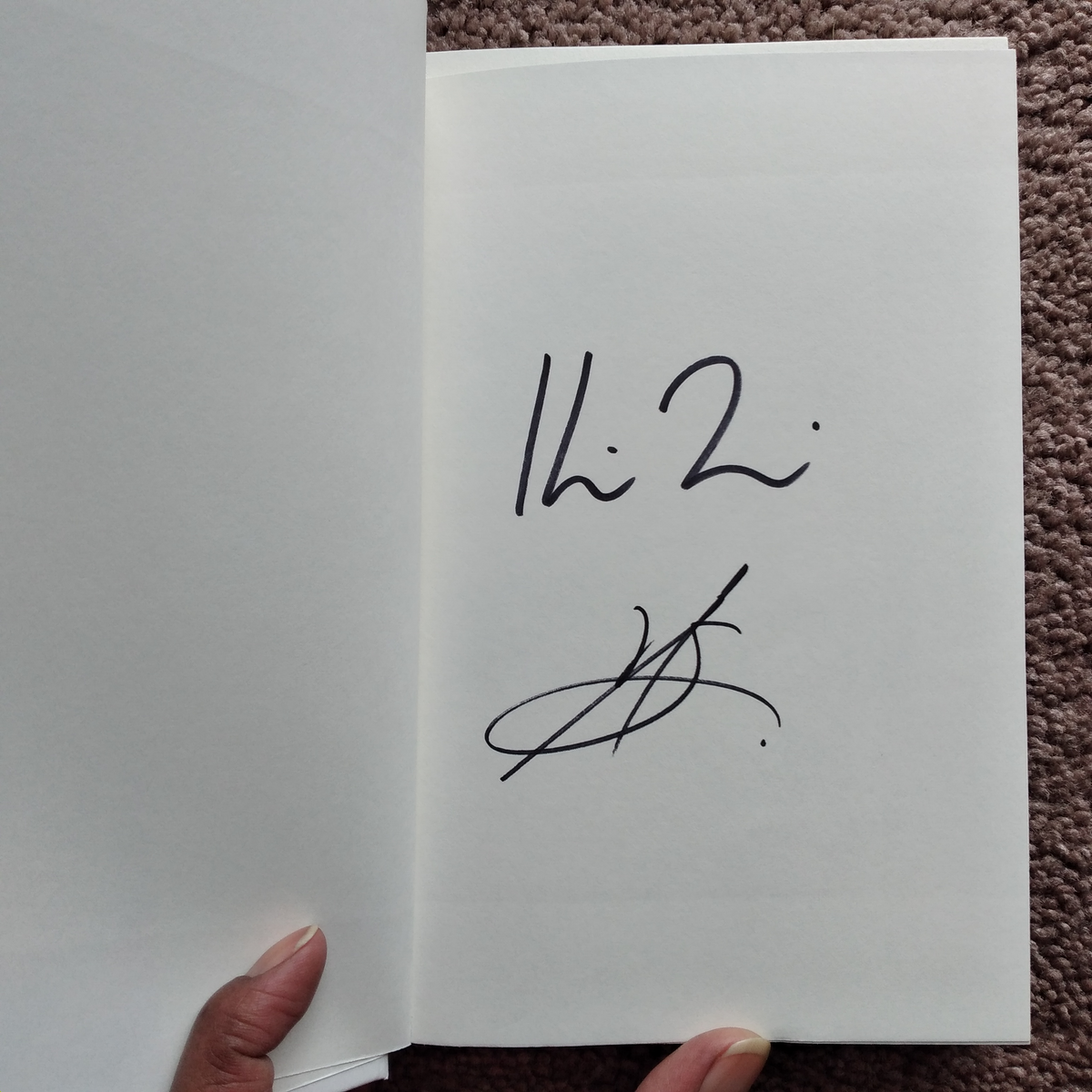 Punching the Air – Wonders of the World Book and Toy Store